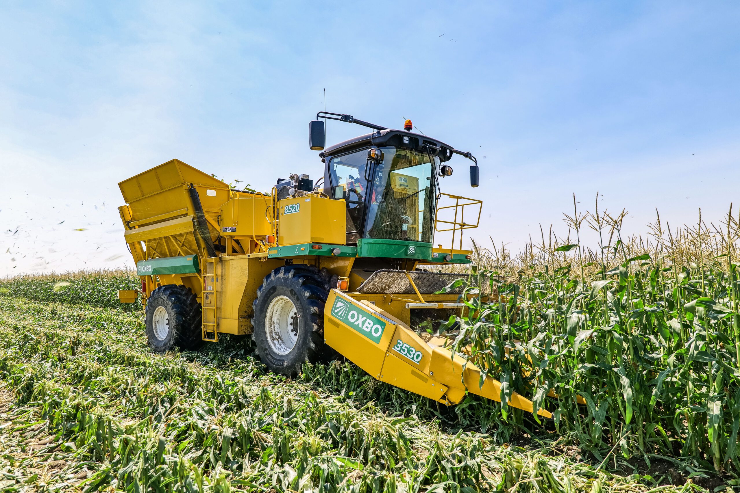 Specialized Vegetable Equipment | Harvesters, Tillers & Tools ...